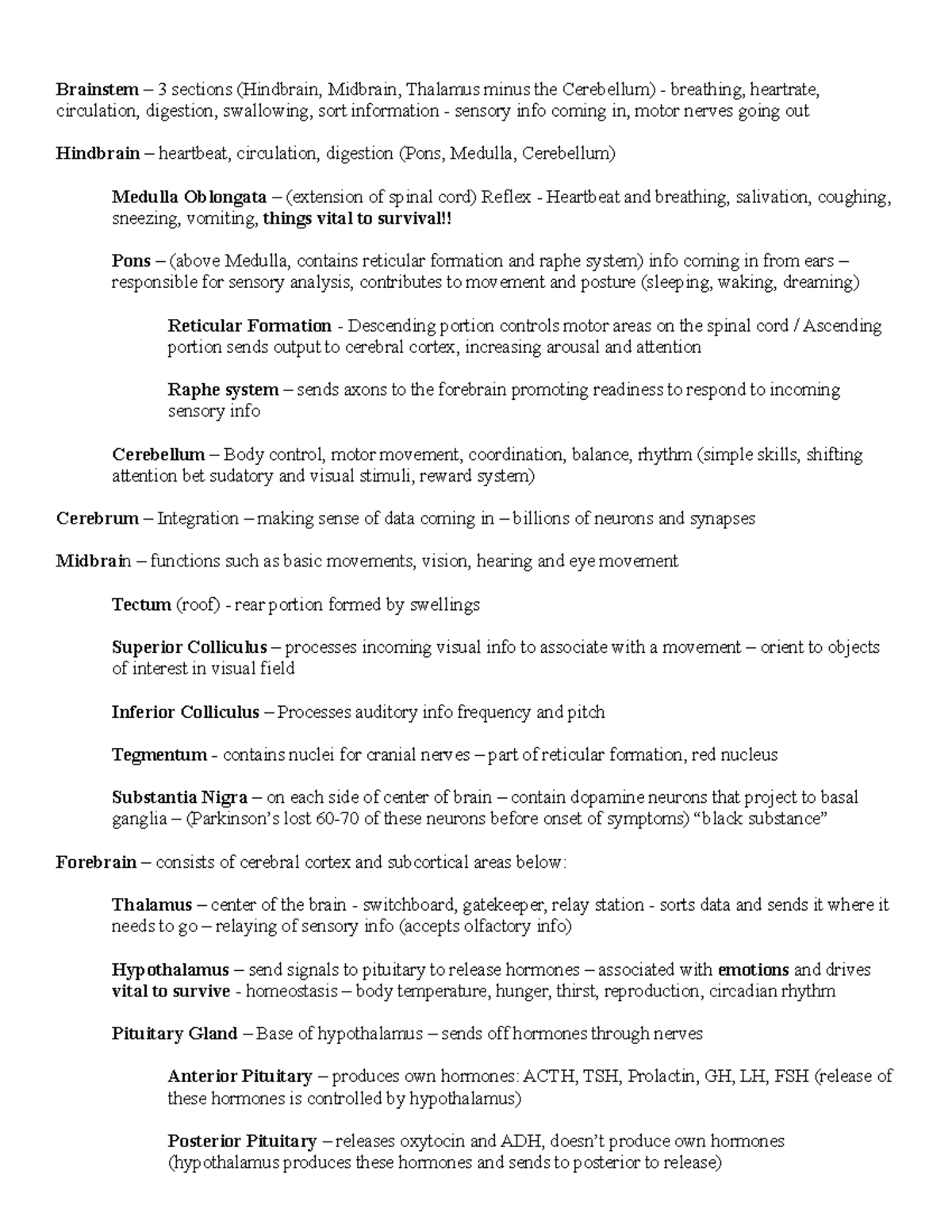 The Brain - Notes - Psychobiology - Brainstem – 3 sections (Hindbrain ...