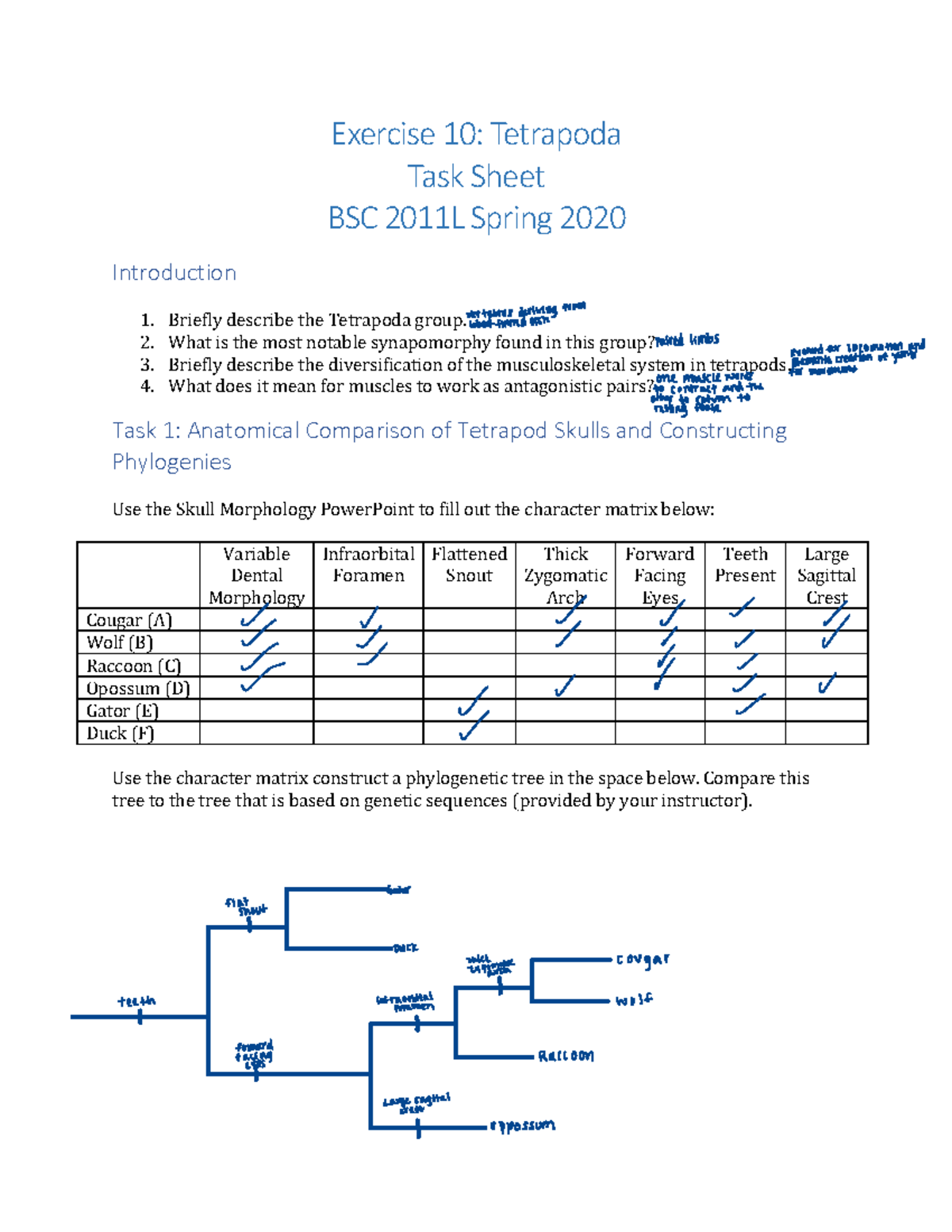 Exercise 10 Task Sheet - In-depth notes to gain fundamental ...