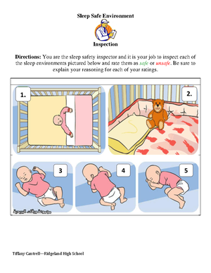 Albert Talavera - CER-Sentence-Starters-CER - SENTENCE STARTERS: CLAIM ...