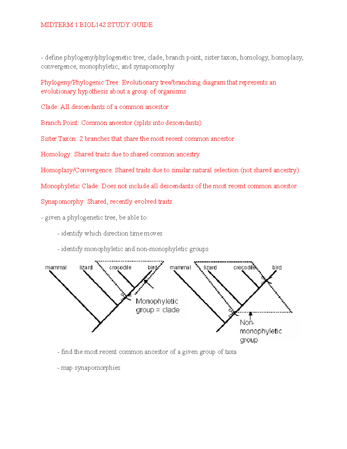 BIOL142 Midterm 1 Study Guide - define phylogeny/phylogenetic tree ...