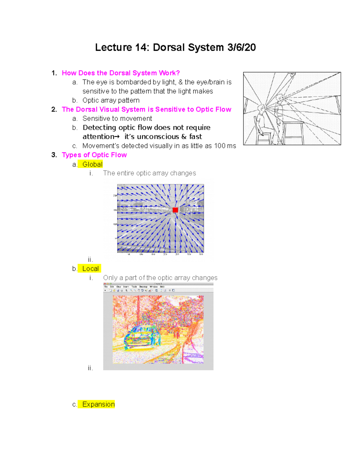 KNH 184 notes-21 - lecture notes - Lecture 14: Dorsal System 3/6/ 1 ...