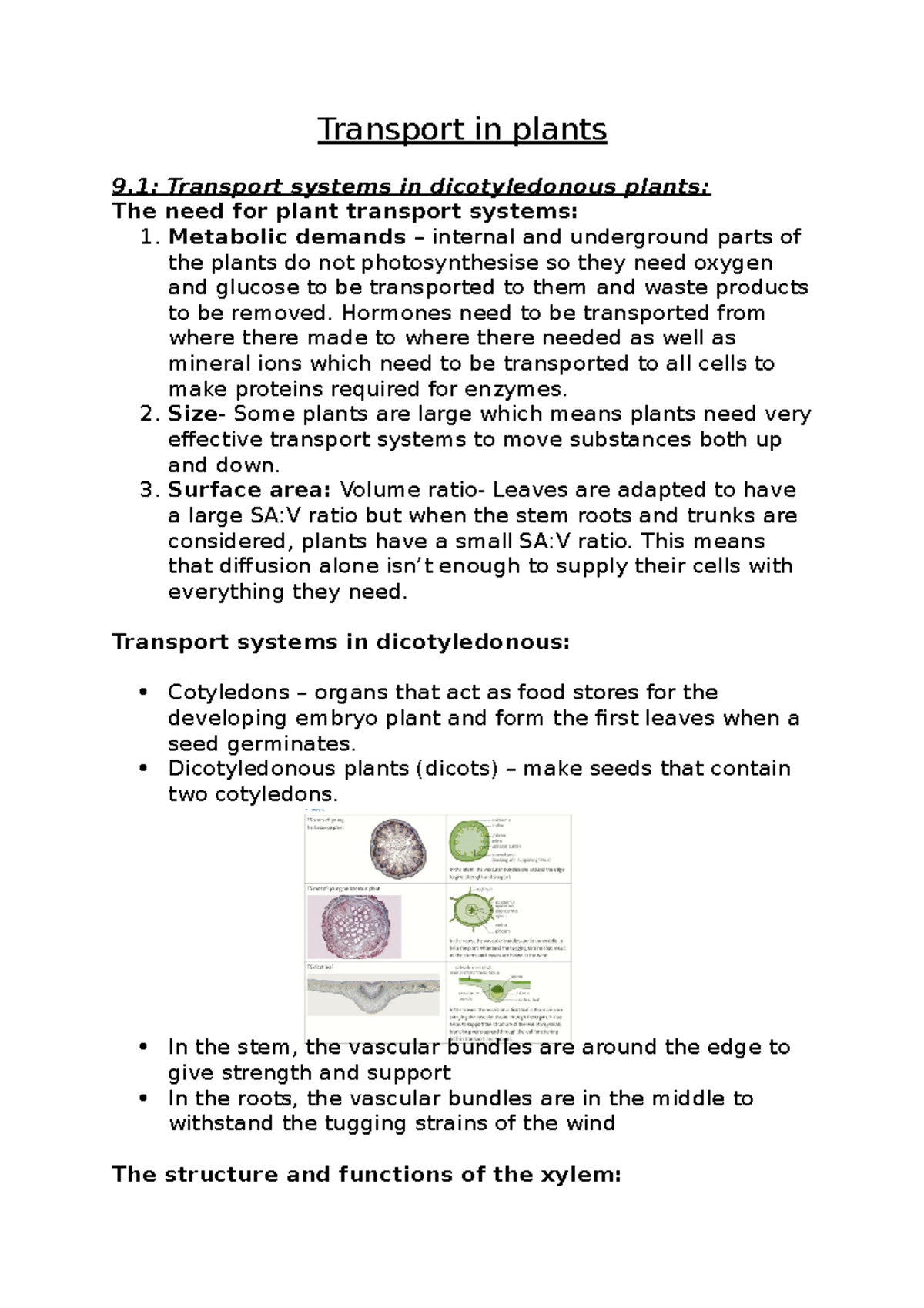 9 - Transport in plants notes - Transport in plants 9: Transport ...