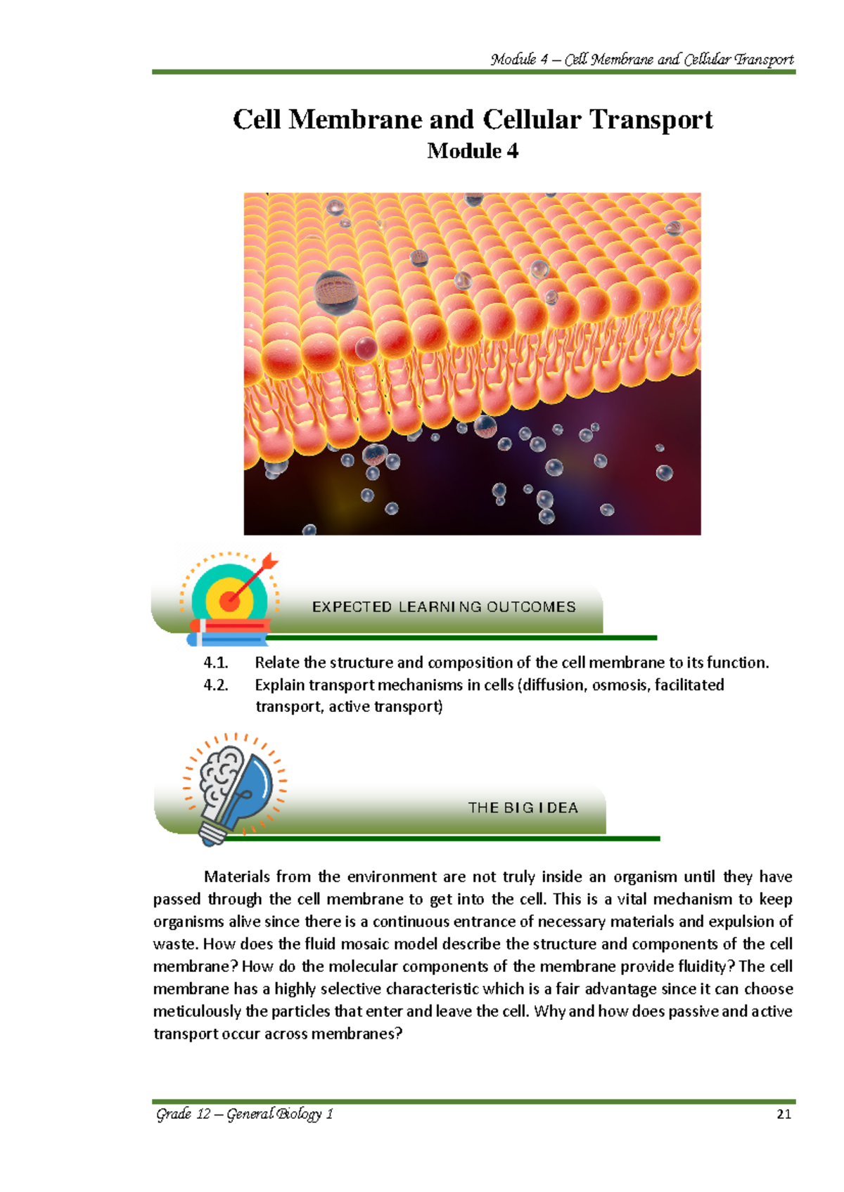 Sci12BModule-cell-transport - Cell Membrane and Cellular Transport ...