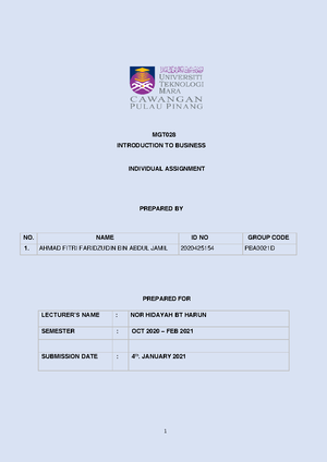MGT028 - Individual Assignment- Norida - introdution into bussiness ...