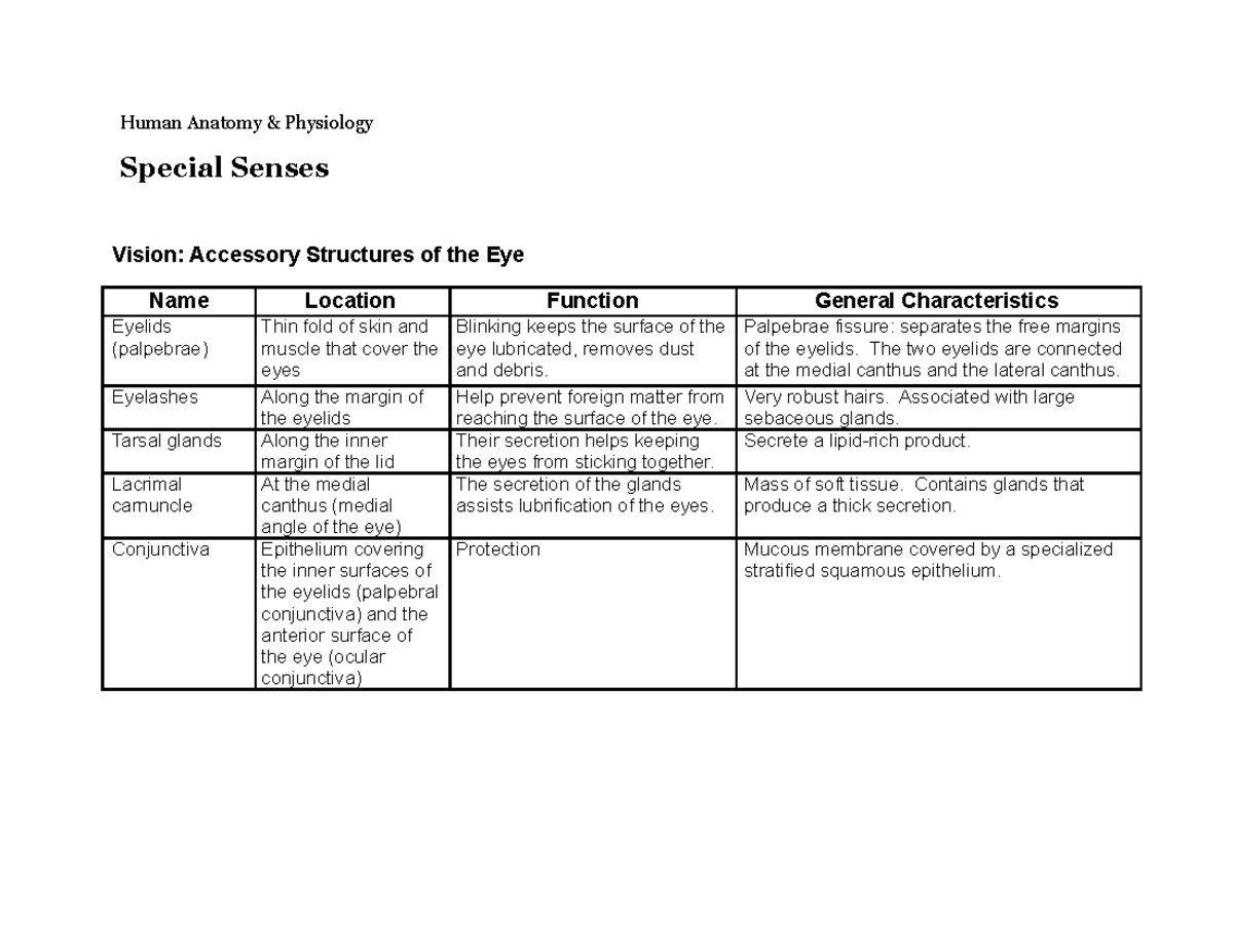 Special Senses - This is coursework for Human Anatomy And Physiology I ...