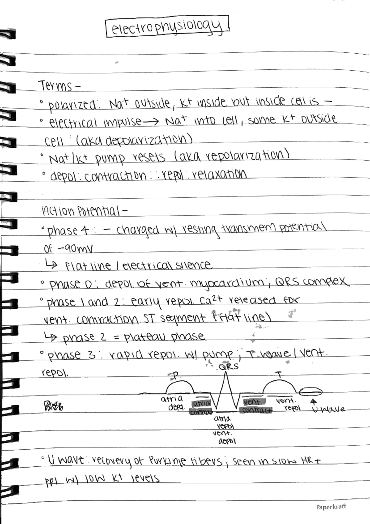 Electrophysiology - Notes for NHA medical assistant certification - MED ...