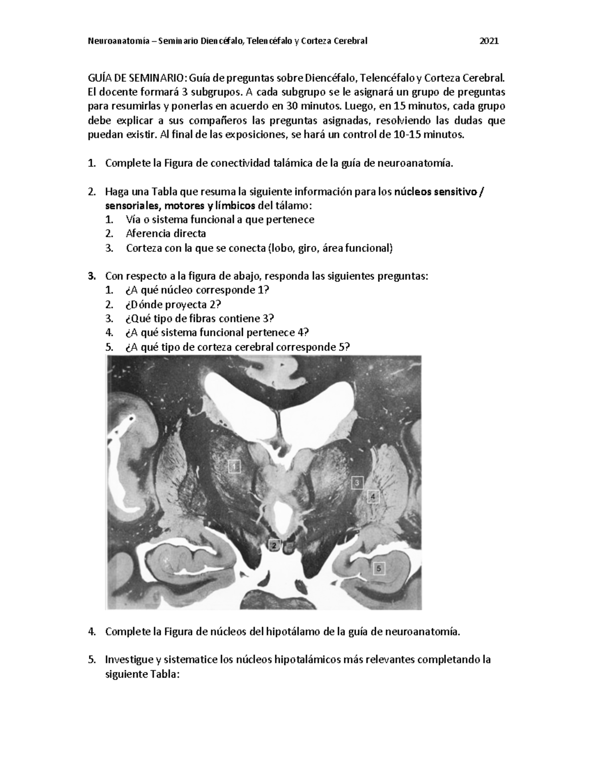 Gu a Seminario Dienc falo Telenc falo y Corteza Cerebral Kine 2021 ...
