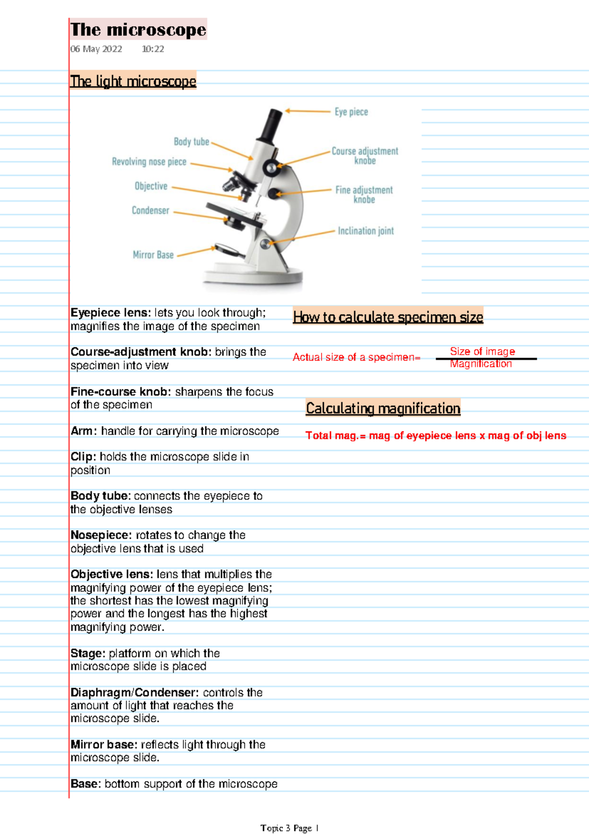 Topic 3 - The light microscope Eyepiece lens: lets you look through ...