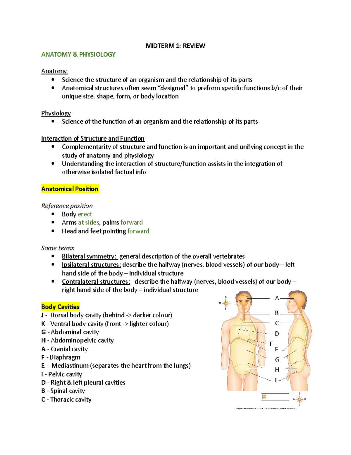 Midterm 1 - n/a - MIDTERM 1: REVIEW ANATOMY & PHYSIOLOGY Anatomy ...