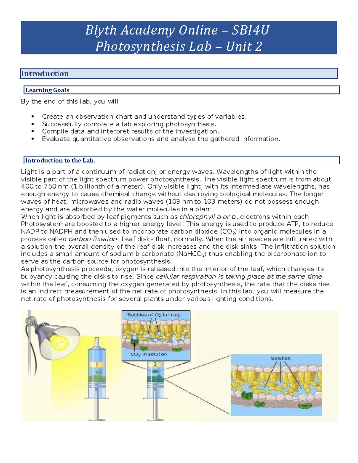 Photosynthesis lab - Blyth Academy Online – SBI4U Photosynthesis Lab ...