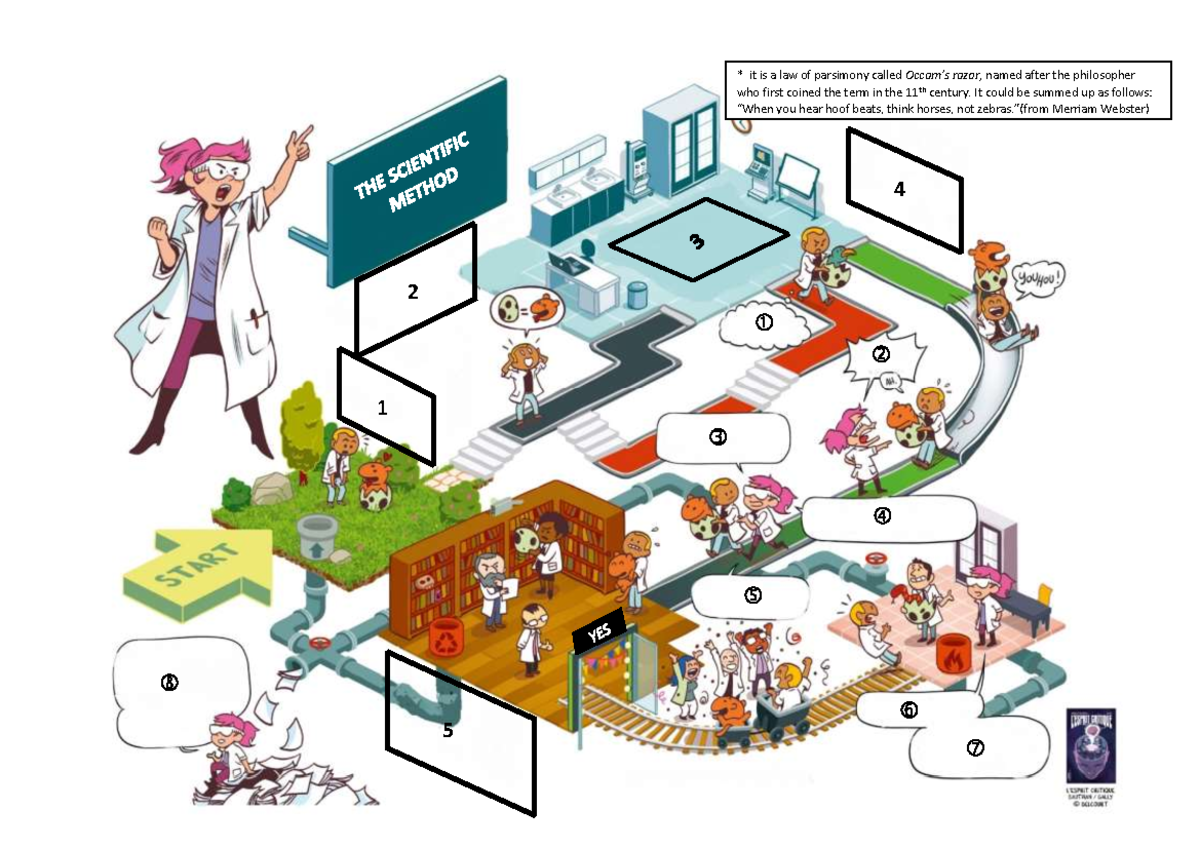 THE Scientific Method cartoon WS - Anglais scientifique - 1 2 4 5 * it ...