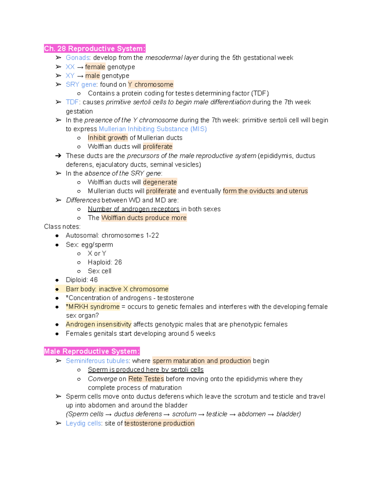 Anatomy and Physiology II Final Exam notes - Ch. 28 Reproductive System ...