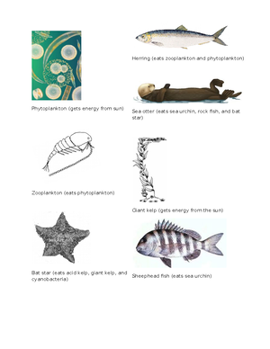 Copy of 1 01 Exploring Life Lab Repornt n - 1 Practice Writing a Lab ...