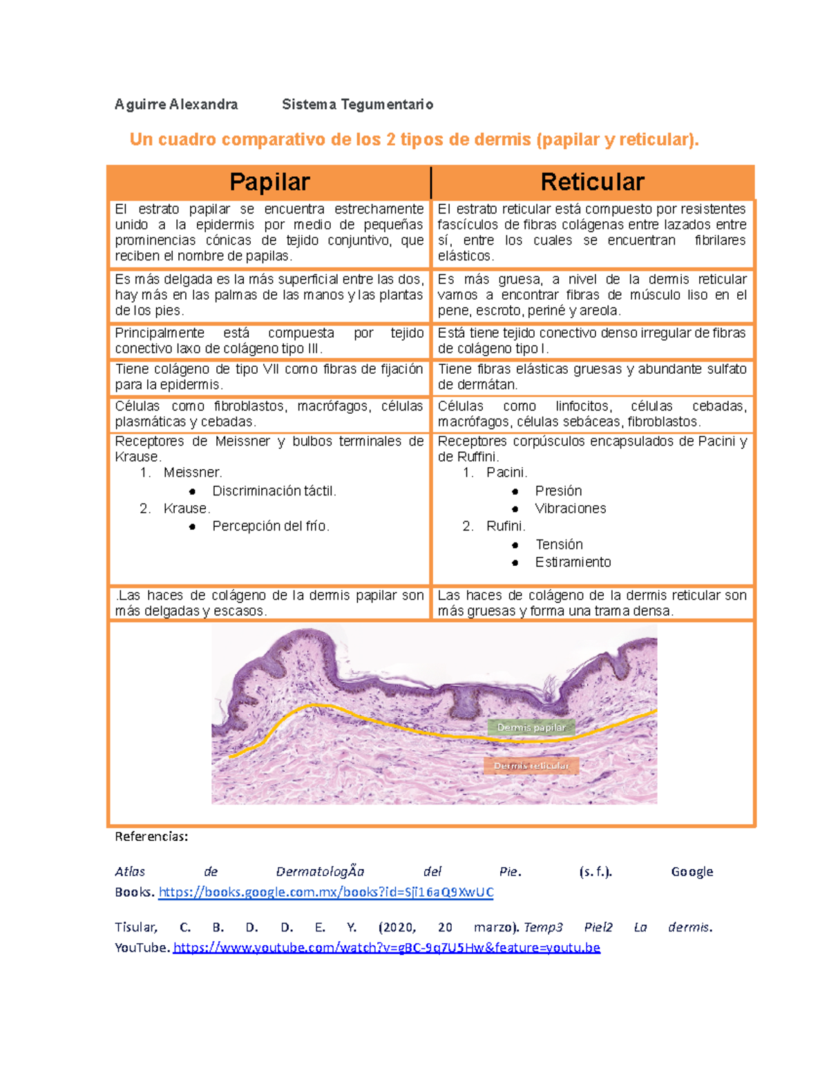 Dermis - Aguirre Alexandra Sistema Tegumentario Un cuadro comparativo ...