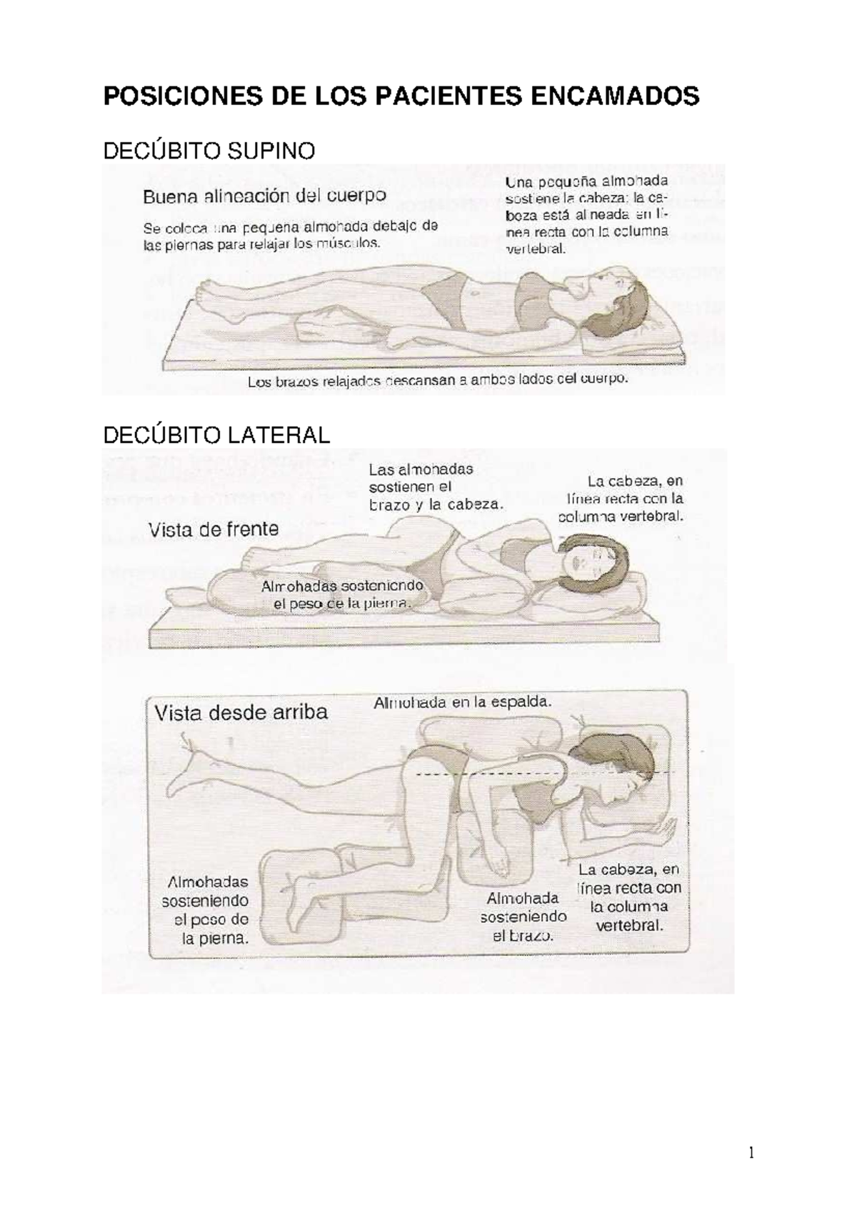 Posiciones Corporales - biologia segundo bachillerato - POSICIONES DE ...