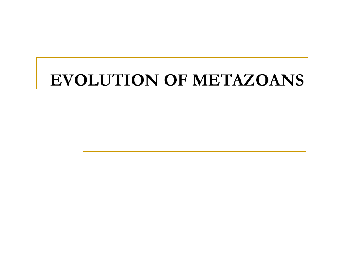 Evolution of metazoans and Phylum Protozoa - All multicellular animals ...