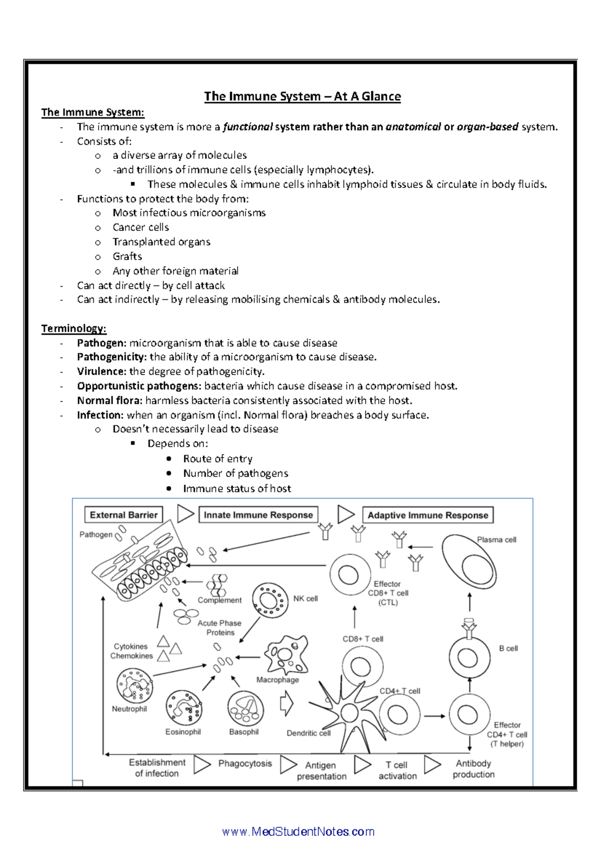A&P - 1. The Immune Systems Basics (7p) - Wk 12 HB Notes The Immune ...