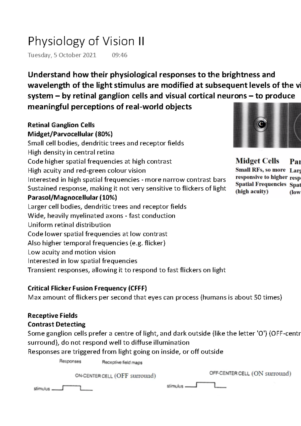 Physiology of Vision Part 2 - Understand how their physiological ...