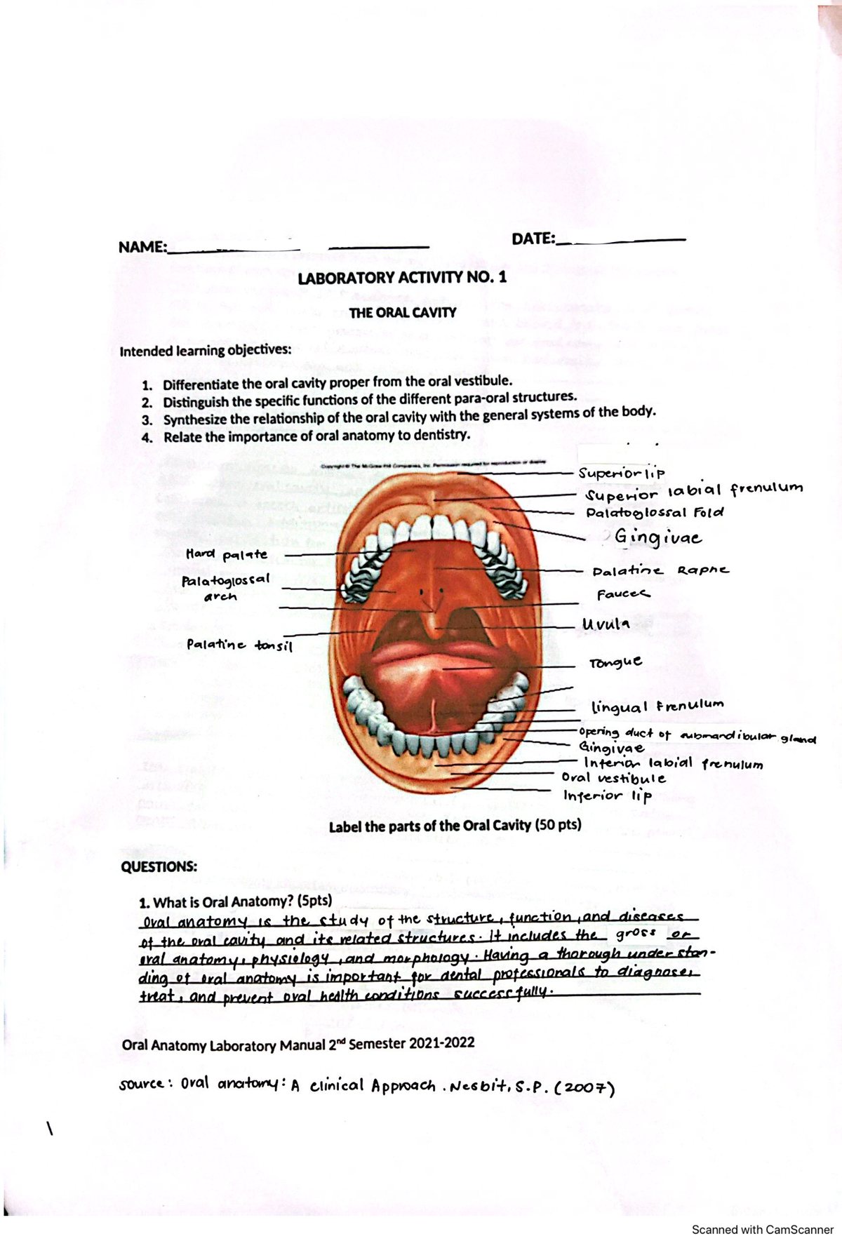 ORAL ANA - Oral anatomy Activity - DATE: NAME: LABORATORY ACTIVITY NO ...