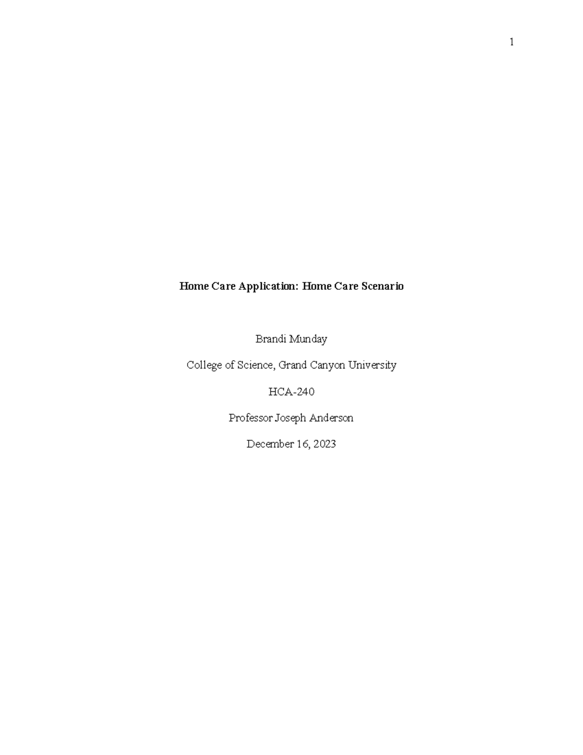 Home Care Application- Home Care Scenario - Home Care Application: Home ...
