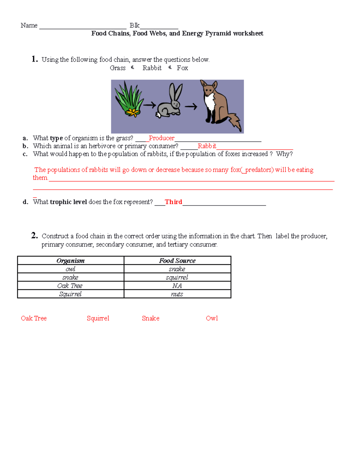 Food Chains Review Handout with Answers 1whl5v4 - Food Chains, Food ...