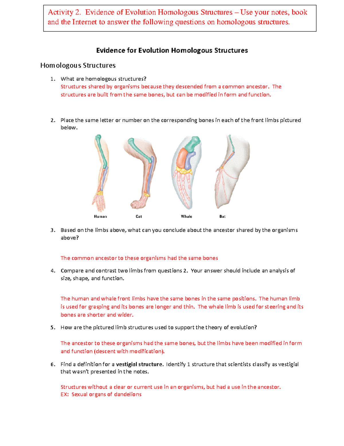Evolution Activity Answers 3 - Technology for Teaching and Learning 1 ...