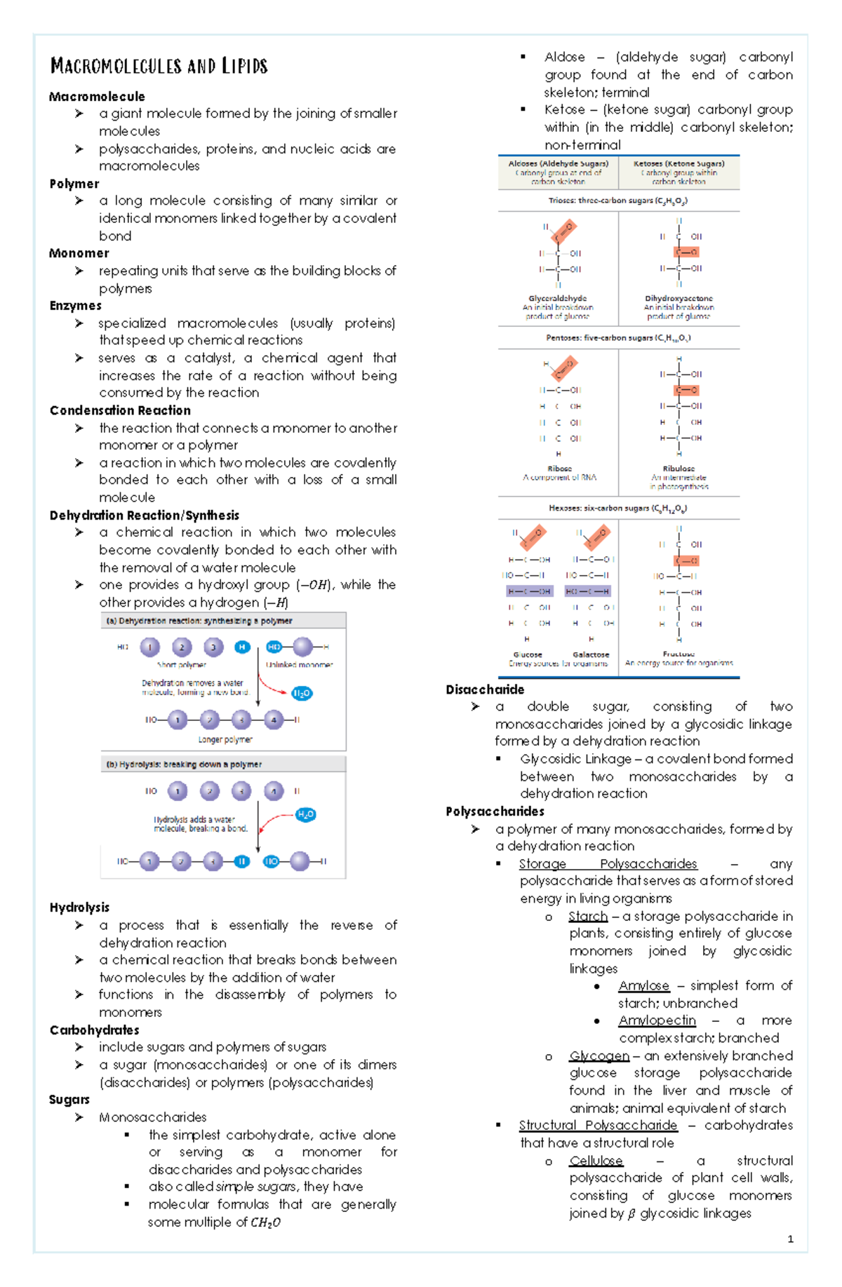 Biological Macromolecules and Lipids - 1 Macromolecules and Lipids ...