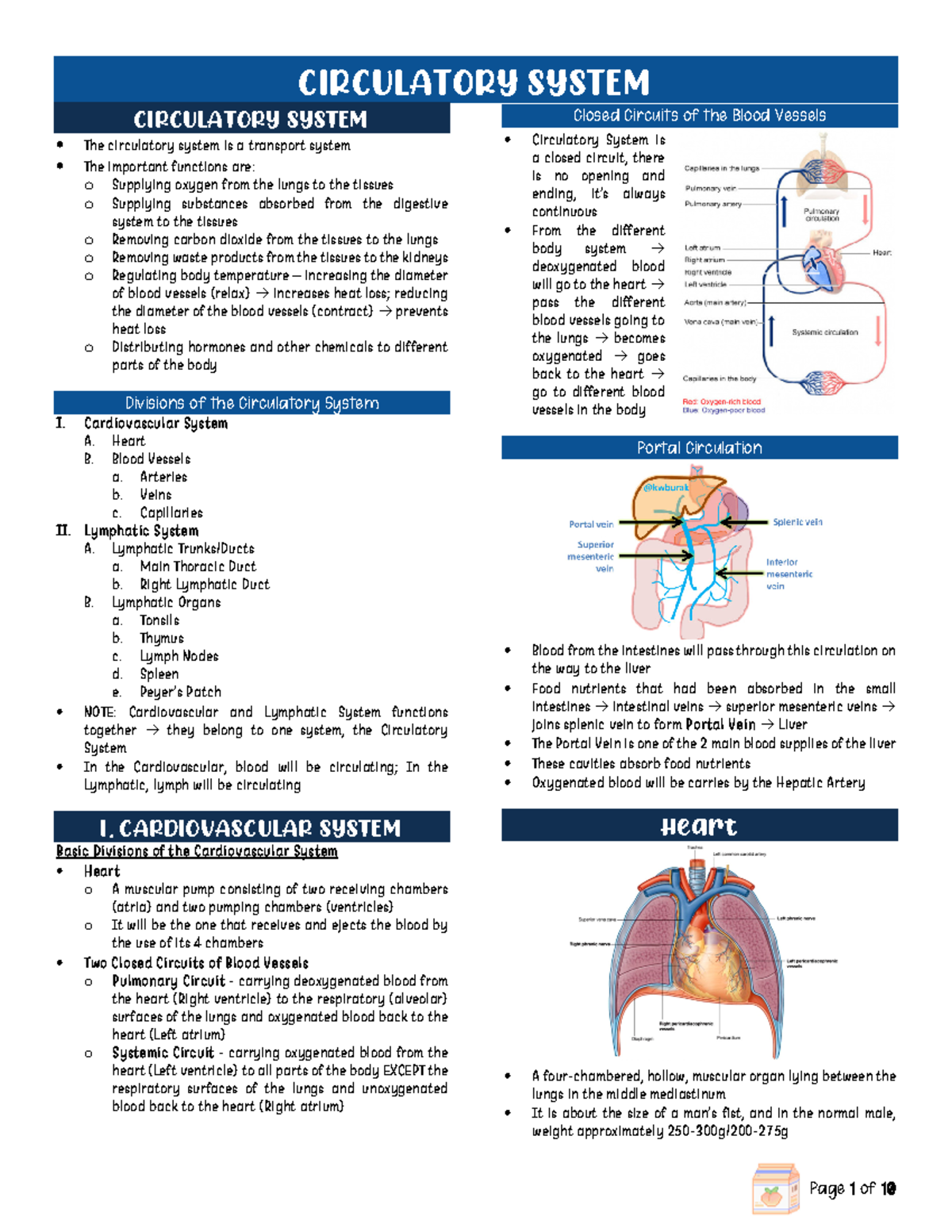 Circulatory System - 101 - CIRCULATORY SYSTEM CIRCULATORY SYSTEM The ...