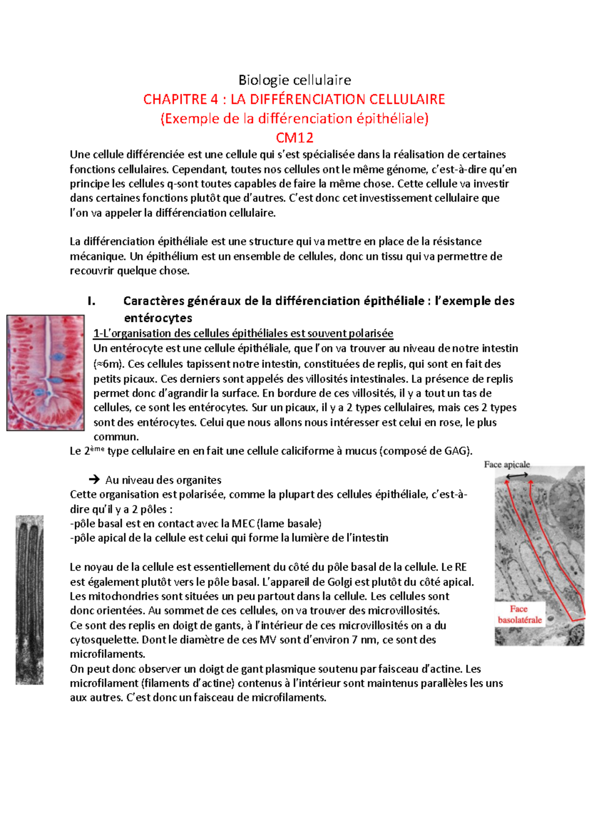 CHAP4-Biologie-cellulaire - Biologie cellulaire CHAPITRE 4 : LA ...