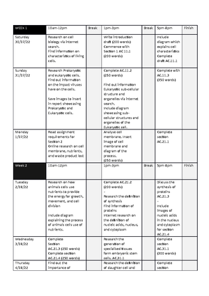 Unit 18 The brain and nervous system - Unit 18: The Brain and Nervous ...