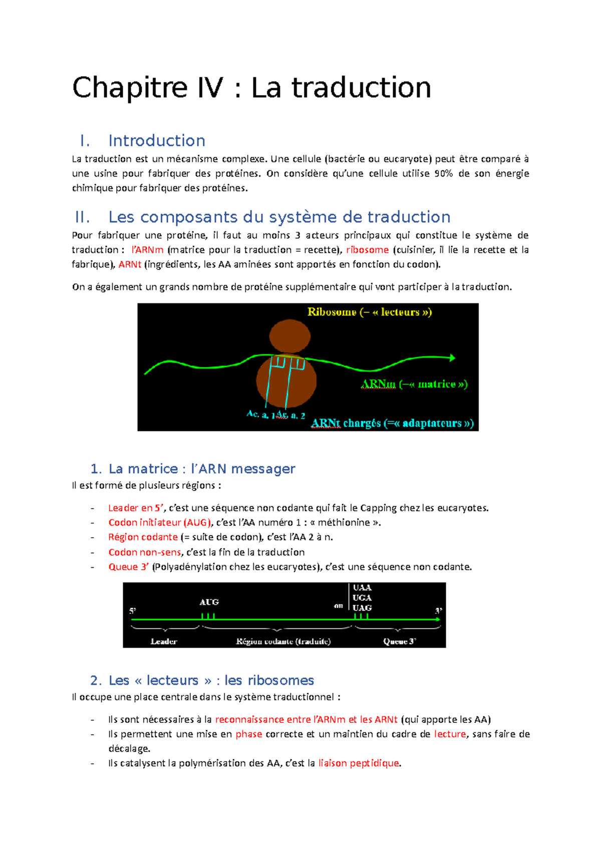 chapitre 4, la traduction. - Chapitre IV : La traduction I ...