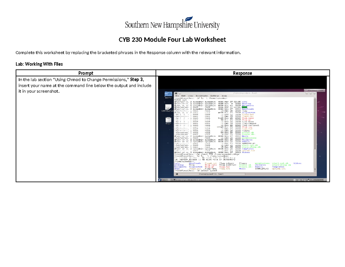 CYB 230 Module Four Lab Worksheet DL - CYB 230 Module Four Lab ...