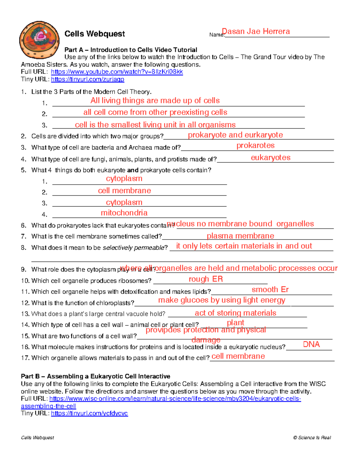 Cells+Webquest+2023 - help with work - Cells Webquest Name
