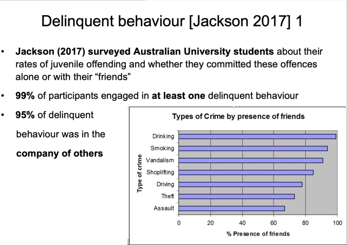 Diversity - Delinquent behaviour, Aetiology, Evidence of high ...