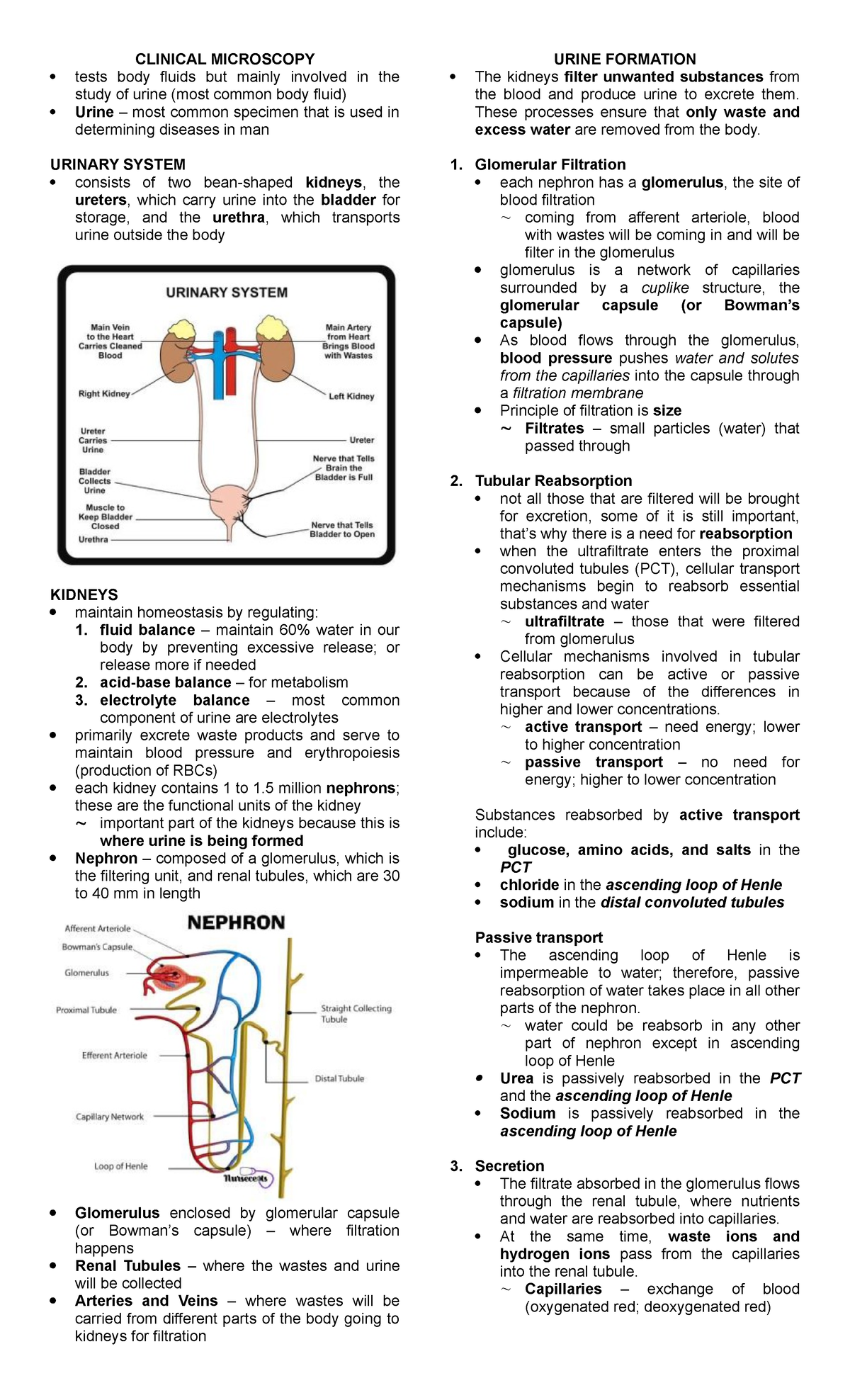 Clinical Microscopy - CLINICAL MICROSCOPY tests body fluids but mainly ...