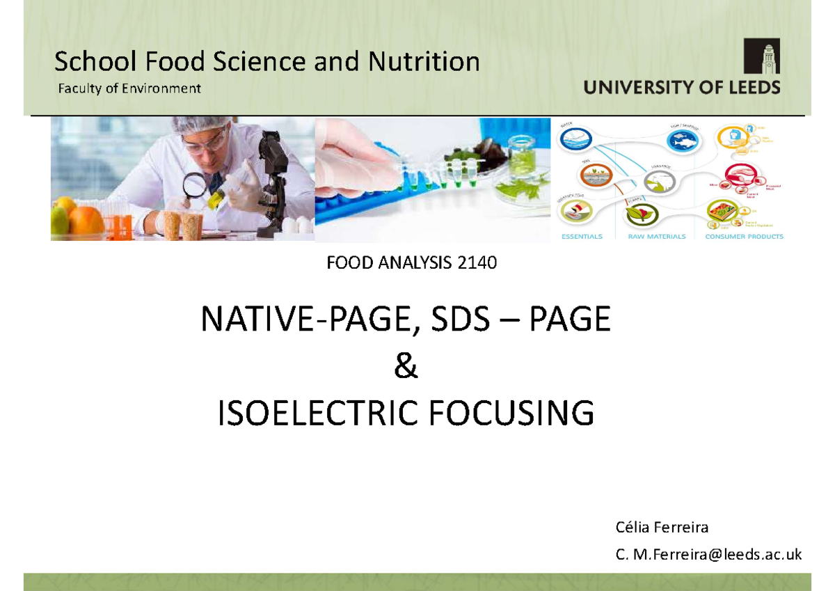 8 Native-Page, SDS-Page - School Food Science and Nutrition Faculty of ...