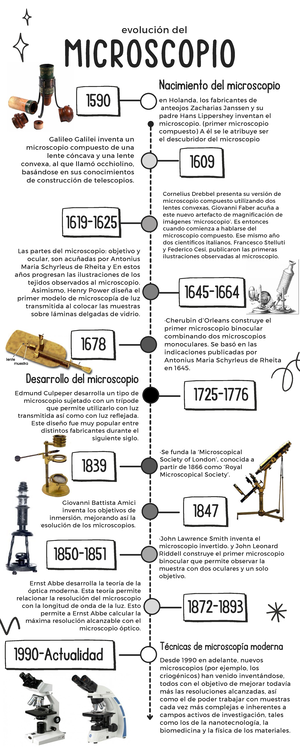 Uso del microspio - Informe primera practica laboratorio - USO DEL ...