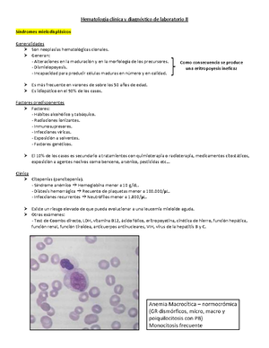 Síndrome anémico y clasificación de las anemia - Warning: TT: undefined function: 32 Warning: TT ...