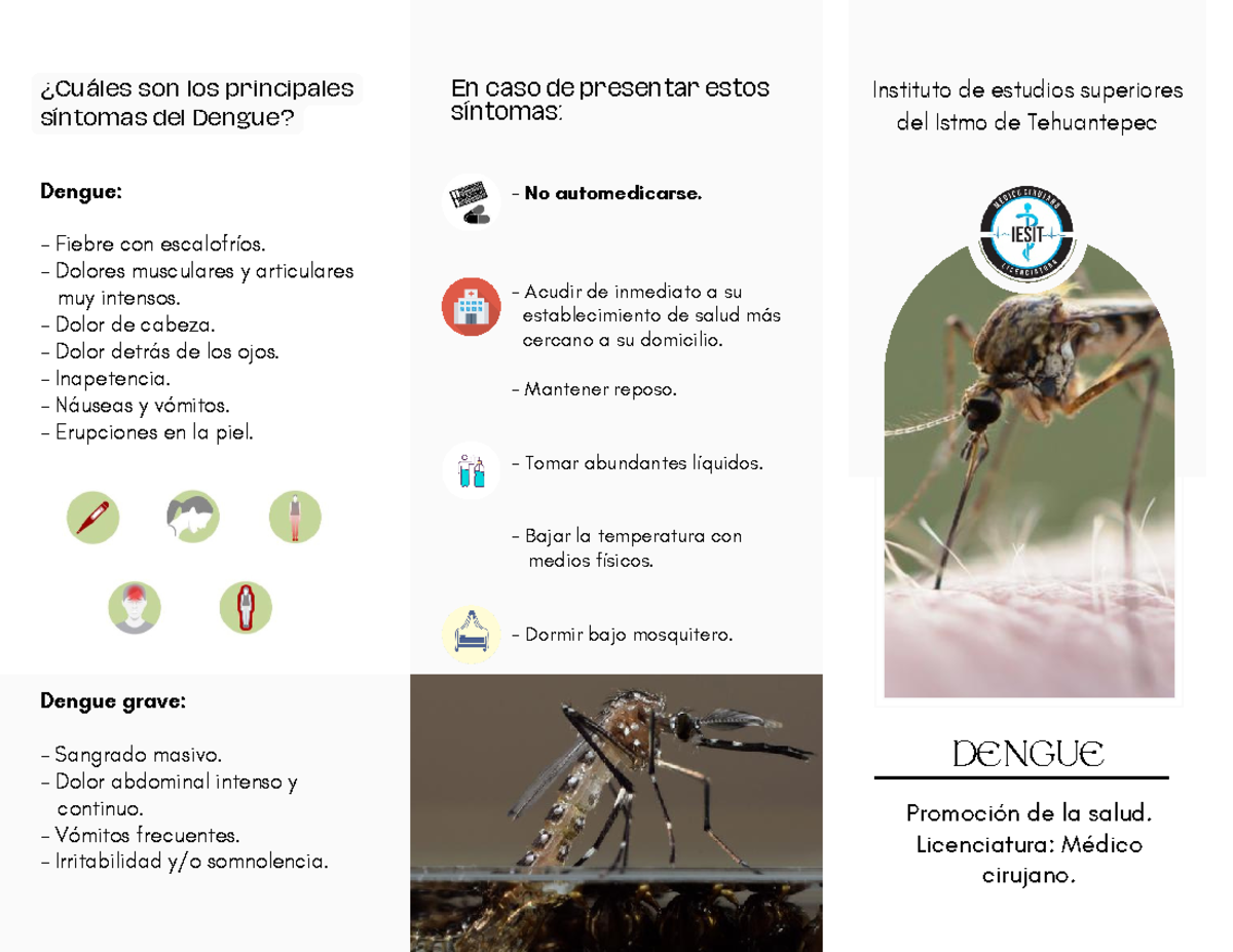 Tríptico del Dengue - Dengue: Fiebre con escalofríos. Dolores ...