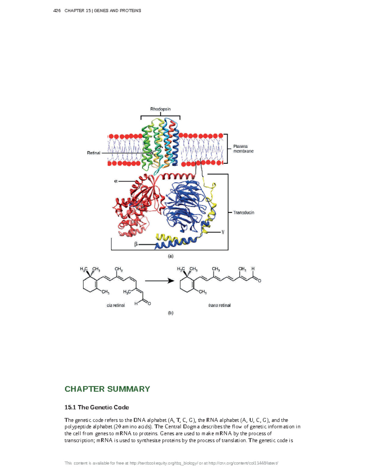 College biology college biology ~ 7 - CHAPTER SUMMARY 15 The Genetic ...