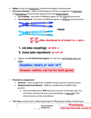 Mendelian Genetics-1 - Genetics notes - Genetics - study of inherited ...