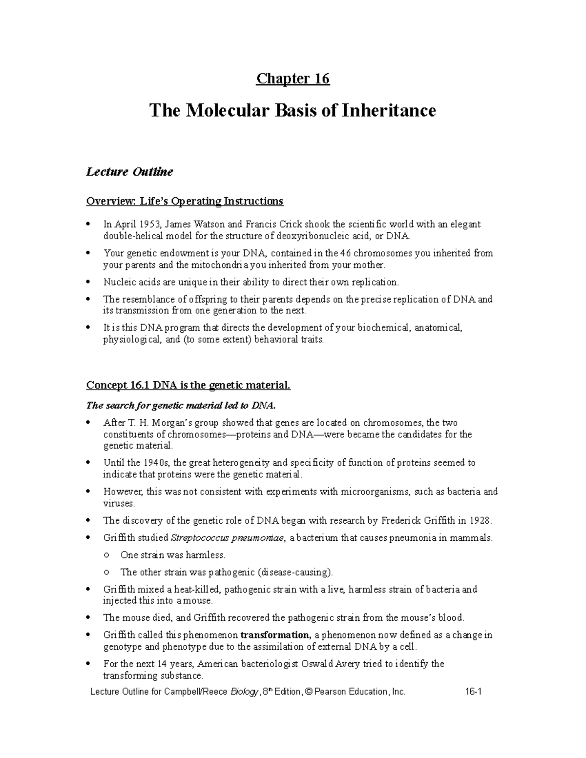 16 Detail Lect Out - Chapter 16 The Molecular basis of Inheritance - Chapter 16 The Molecular ...