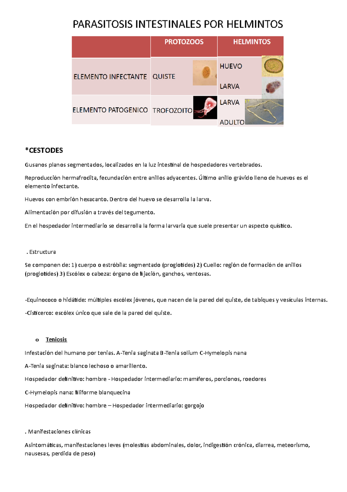 Helmintos Intestinales - PARASITOSIS INTESTINALES POR HELMINTOS ...