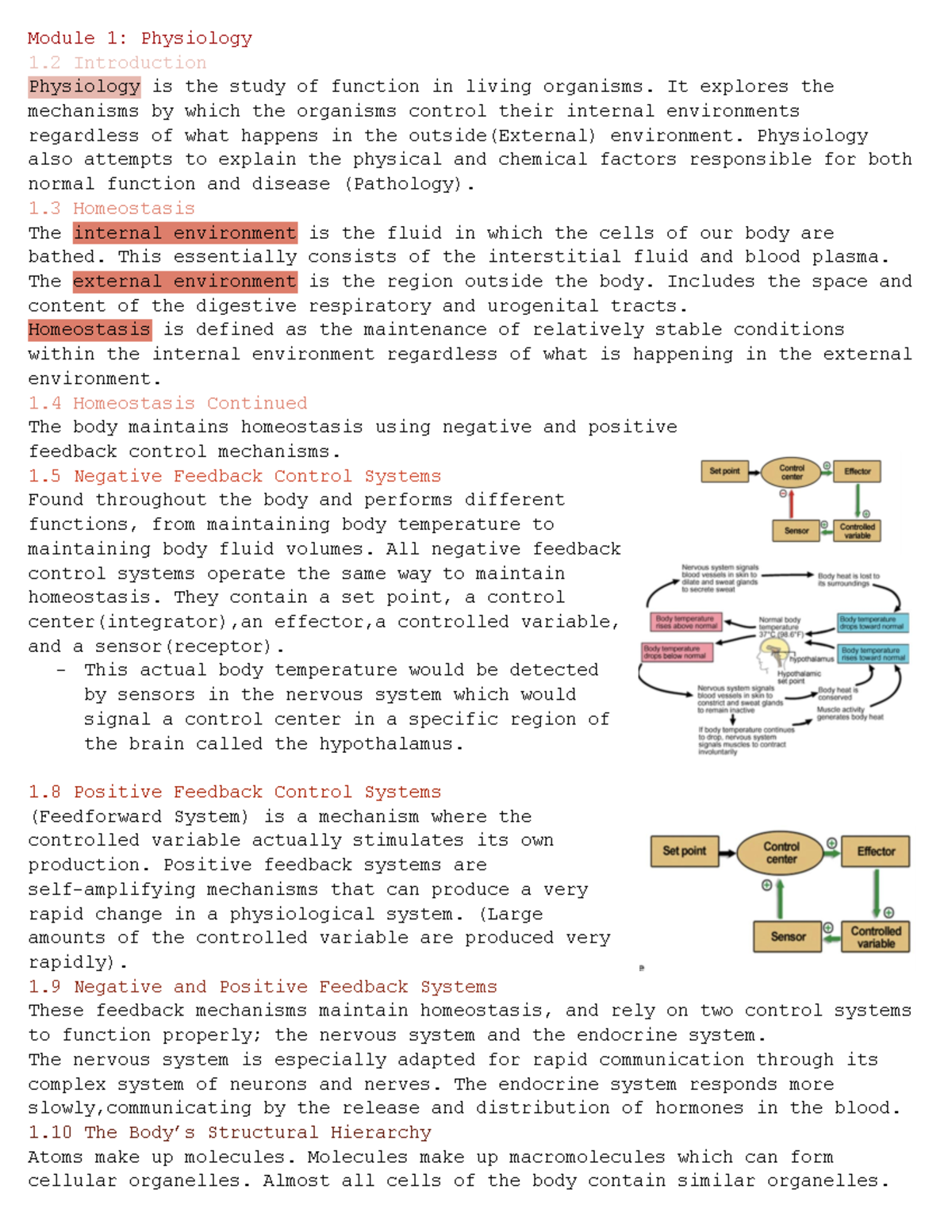 Copy of Physiology Master Doc - Studocu
