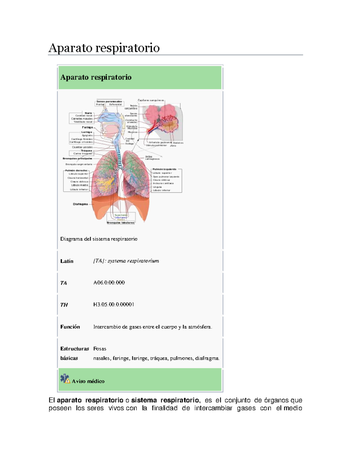 Aparato respiratorio - Aparato respiratorio Aparato respiratorio ...