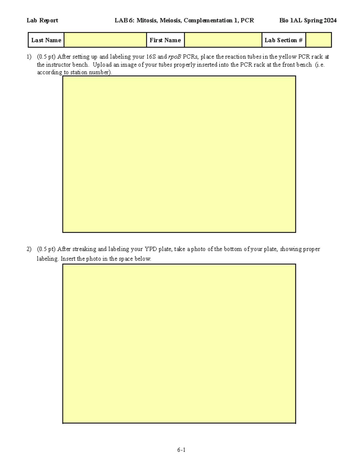 Lab 6 - Mitosis, Meiosis, Complementation 1 & PCR Report Sp24 - Last ... Lab 6 - Mitosis, Meiosis, Complementation 1 & PCR Report Sp24 - Last ...