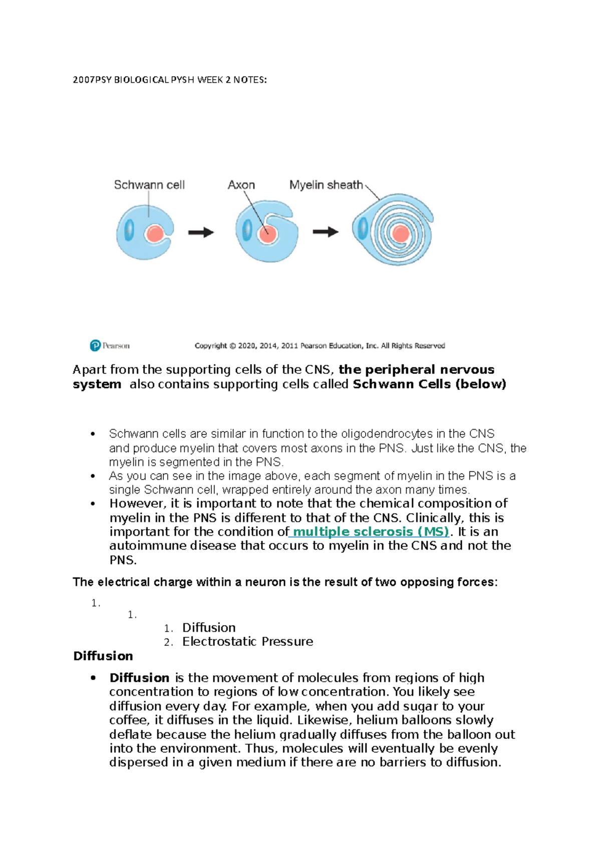 2007 PSY Biological PYSH WEEK 2 Notes - 2007PSY BIOLOGICAL PYSH WEEK 2 ...