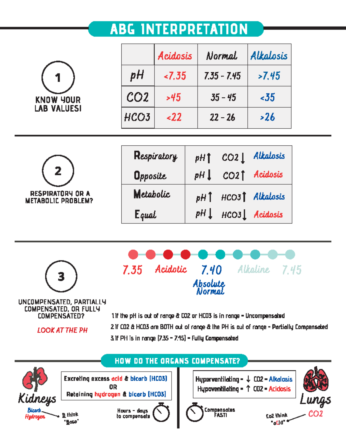 ABGs - abg - ABG INTERPRETATION Acidosis Normal Alkalosis 1 pH 7 7 KNOW YOUR CO2 35 45 LAB ...