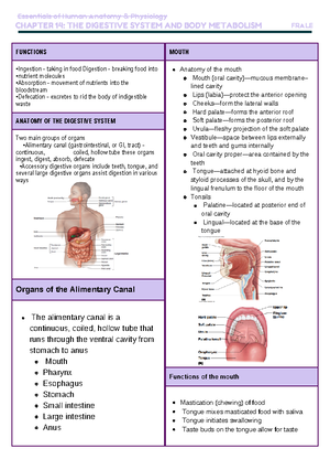Anatomy and Physiology: Nervous System - ANATOMY AND PHYSIOLOGY CHAPTER ...