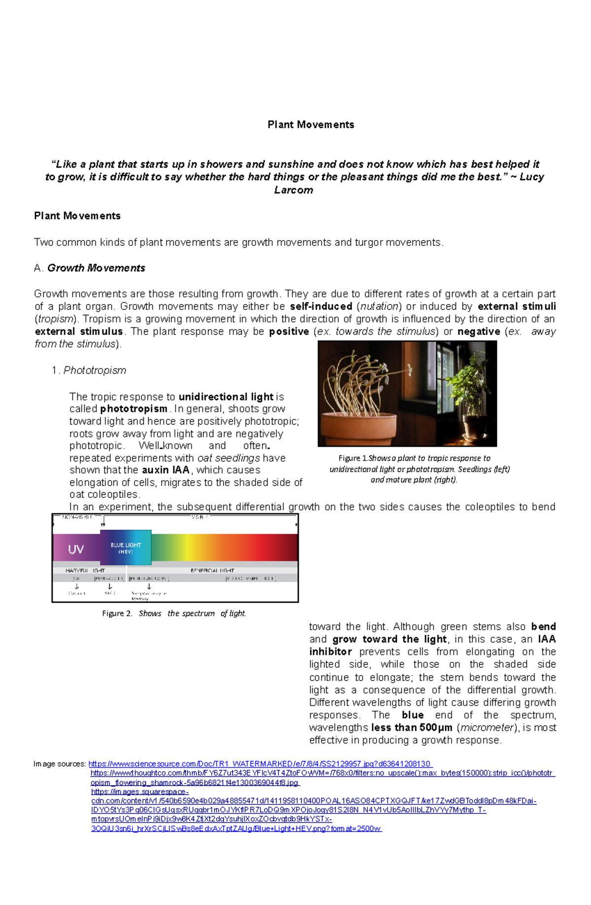 Plant Movements - Plant Movements “Like a plant that starts up in ...